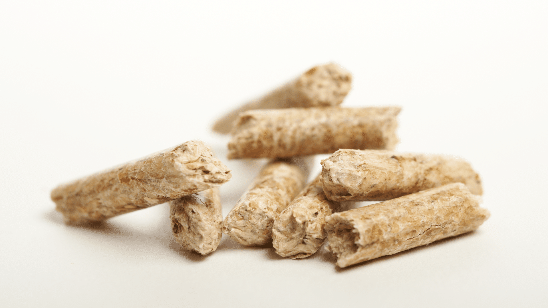 Bagged VERSUS Bulk biomass wood pellets - Balcas Energy