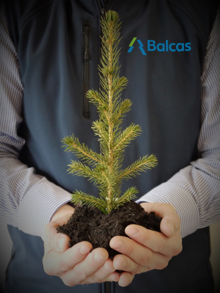 Balcas Sustainability Manufacturing Process