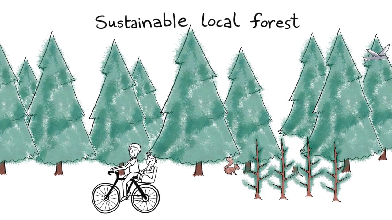 Our Sustainability Story - Balcas Energy Wood Pellets