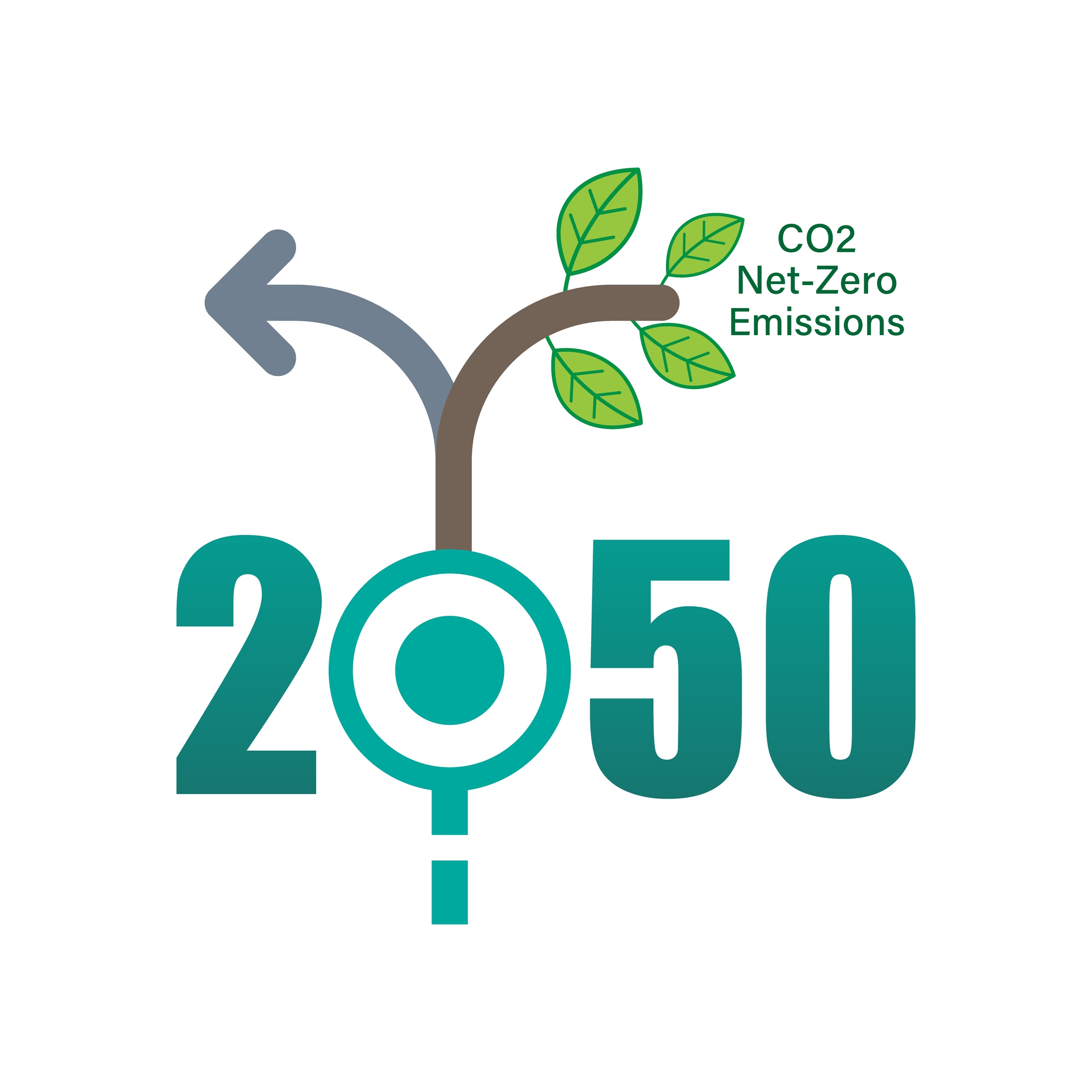 Plan To Become Net Zero By 2050 Plan To Become Net Zero By 2050